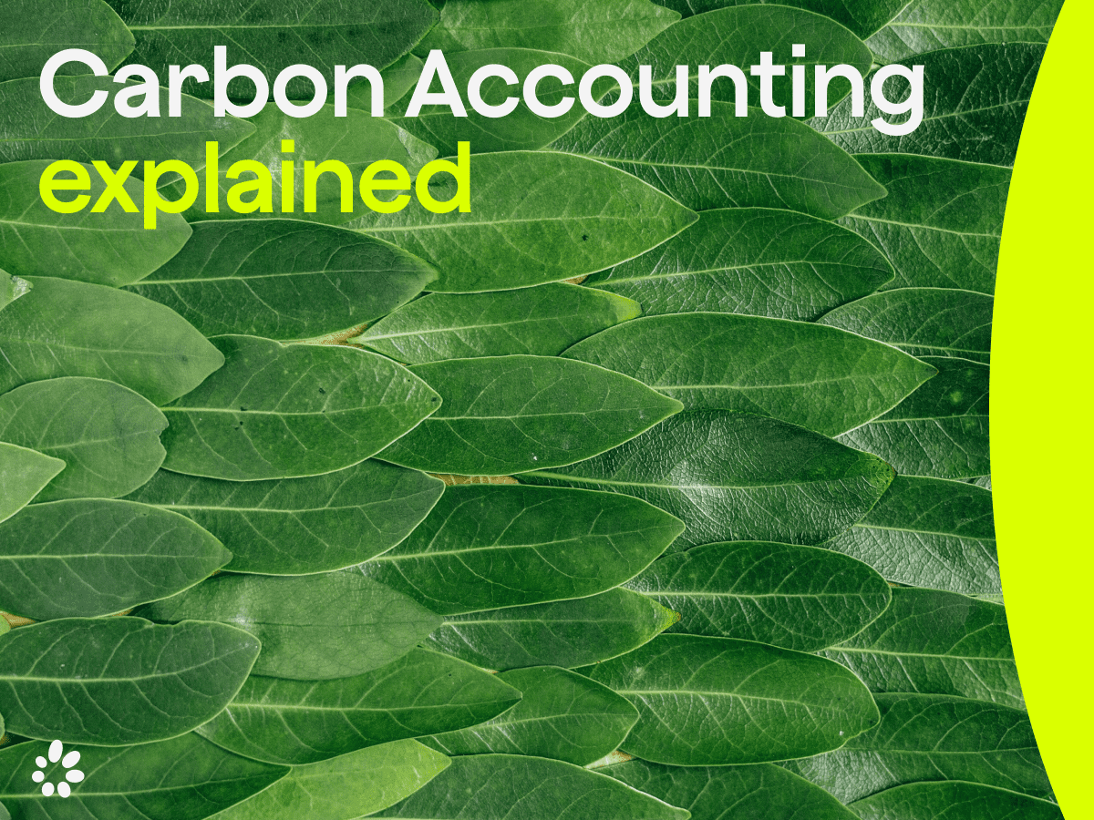 Carbon Accounting